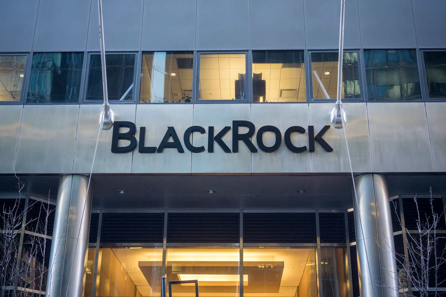 Wall Street Dumps $5.4 Billion in MicroStrategy as BlackRock, Vanguard Exit | Yellow.com