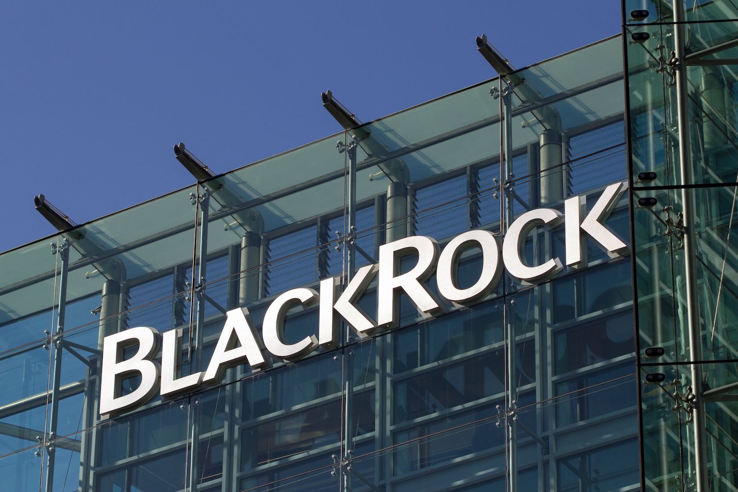 BlackRock and VanEck Enable Round-The-Clock Fund Redemptions via Ripple ...