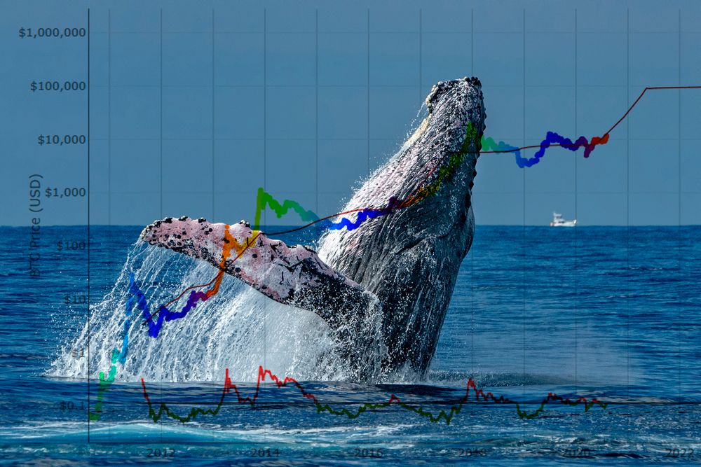 Understanding Bitcoin Whale Activity: What Dormant Wallet Reactivations Mean | Yellow.com